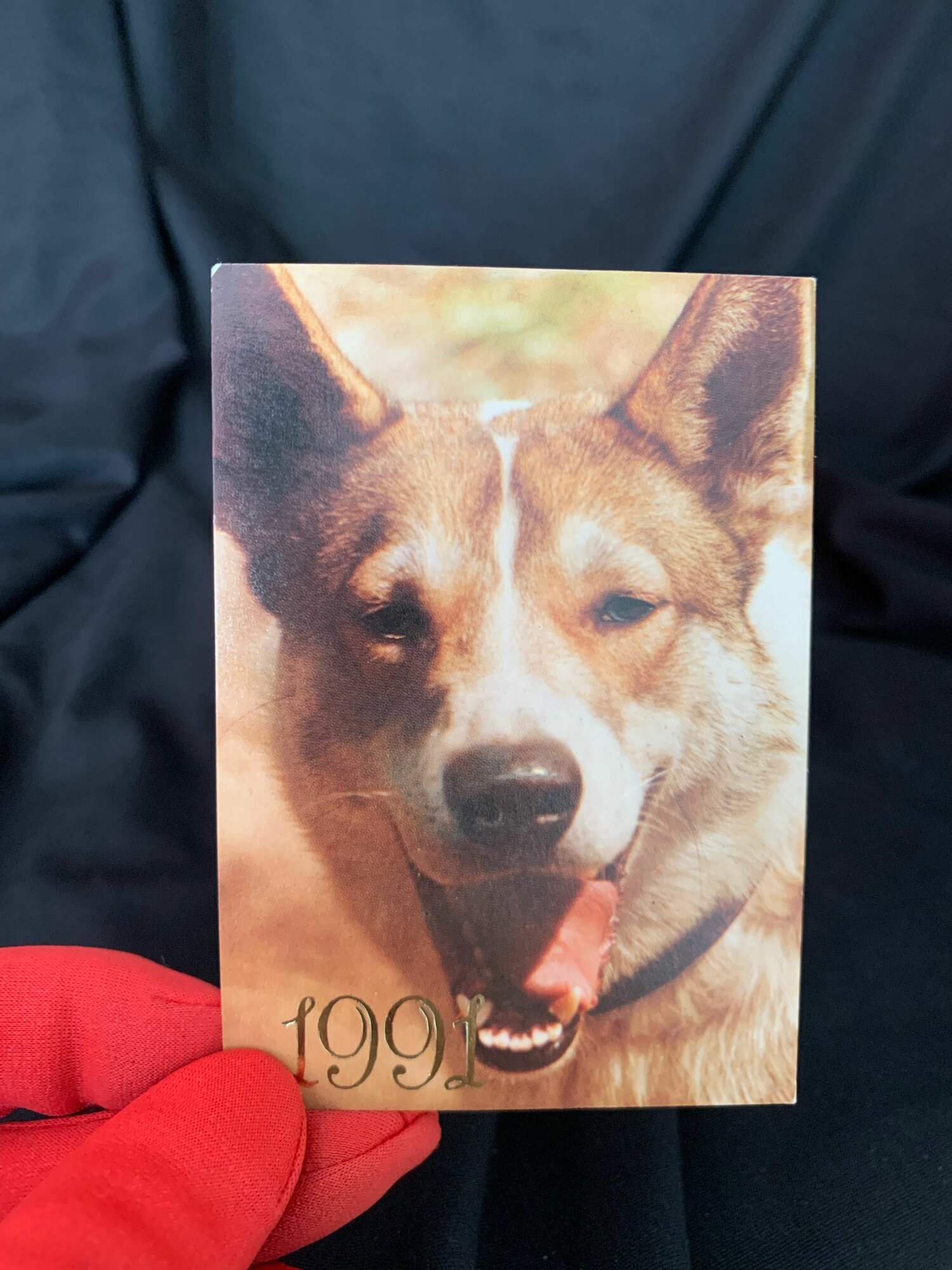 Коллекционный карманный календарь 1991г. Собаки №6
