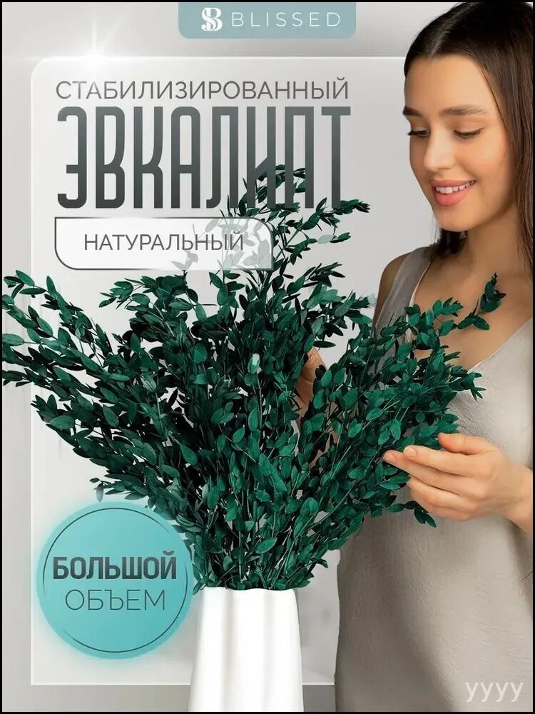 Сухоцветы Эвкалипт 55 см для интерьера для декора для дома для офиса для букета для декоративного оформления помещения