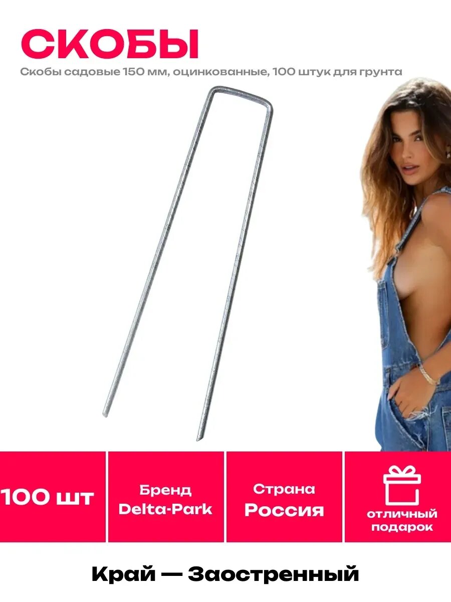 Скобы для геотекстиля оцинкованные 100 шт. для сада и дачи.