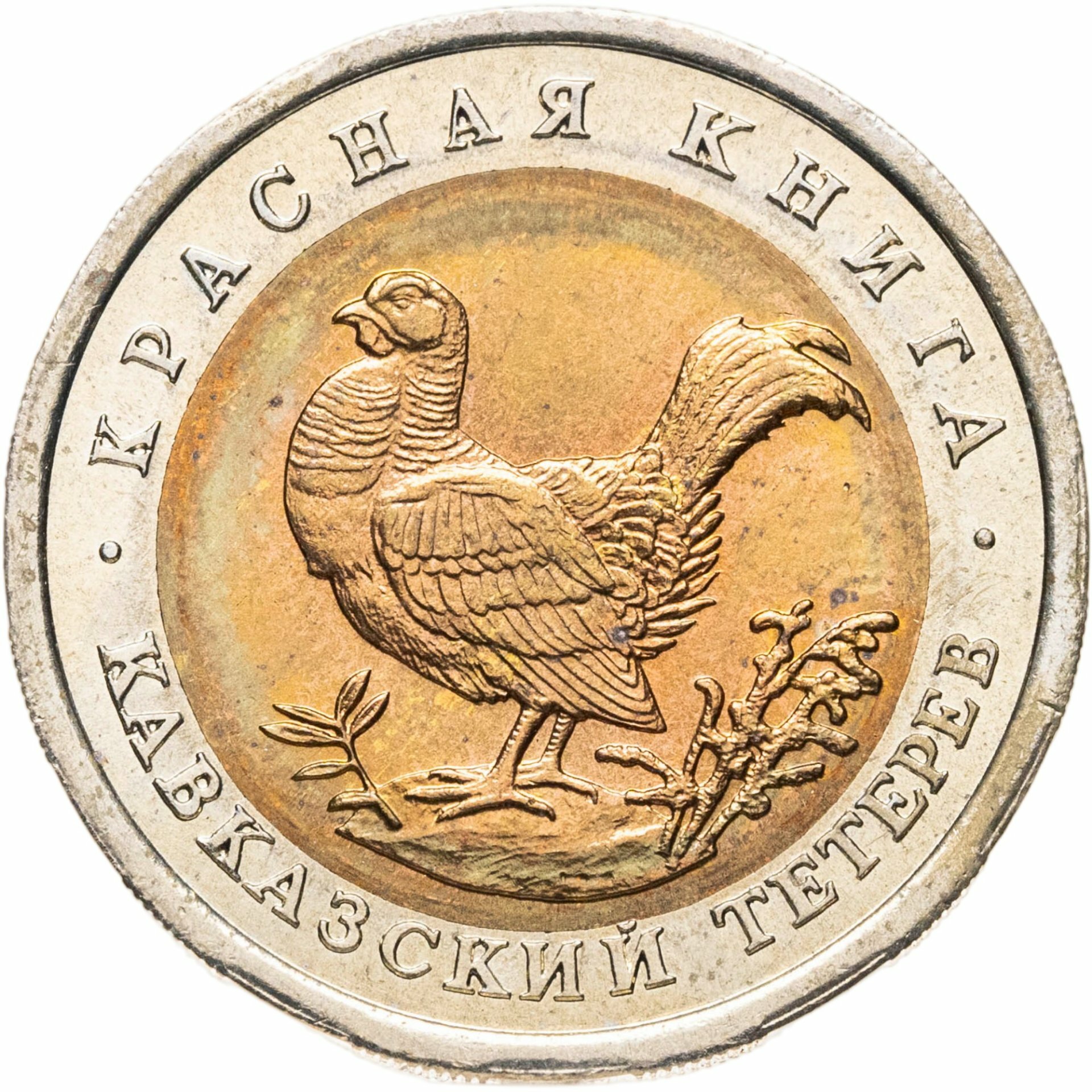 50 рублей 1993 ЛМД кавказский тетерев