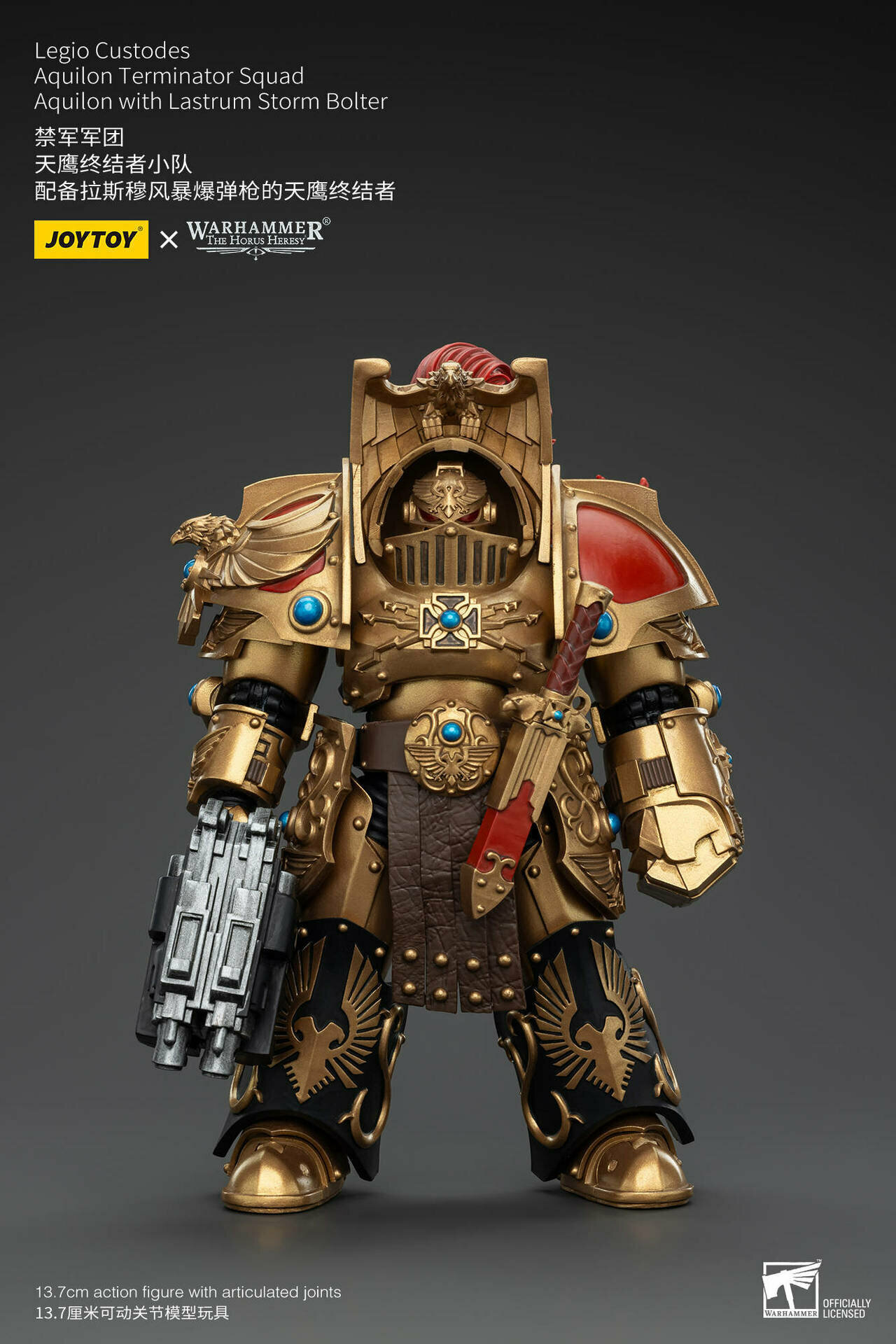 JOYTOY Dark Source Custodes Skyhawk Терминатор Warhammer Horus Heresy Vinatali Team Мобильный солдат фигурка