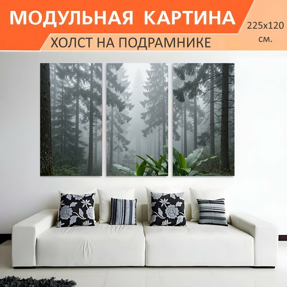 Модульная картина на холсте "Туманный хвойный лес. Сосново-еловый бор в густом тумане, высокие стволы и мягкий рассеянный свет." триптих на подрамнике 225х120 см. для интерьера