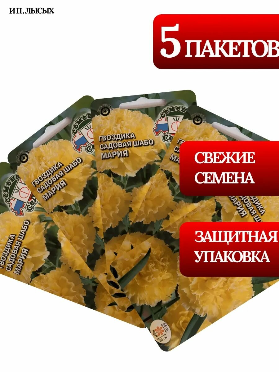 Семена Гвоздика "Мария"