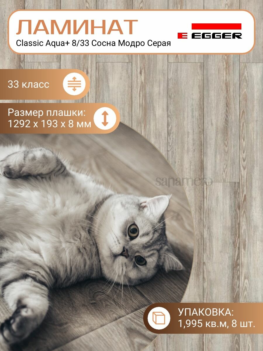 Ламинат Egger 8 мм 33 Classic Aqua+ Сосна Модро Серая EPL239, 1292 х 193 мм, 8 шт/уп, 1,995 м2/уп.