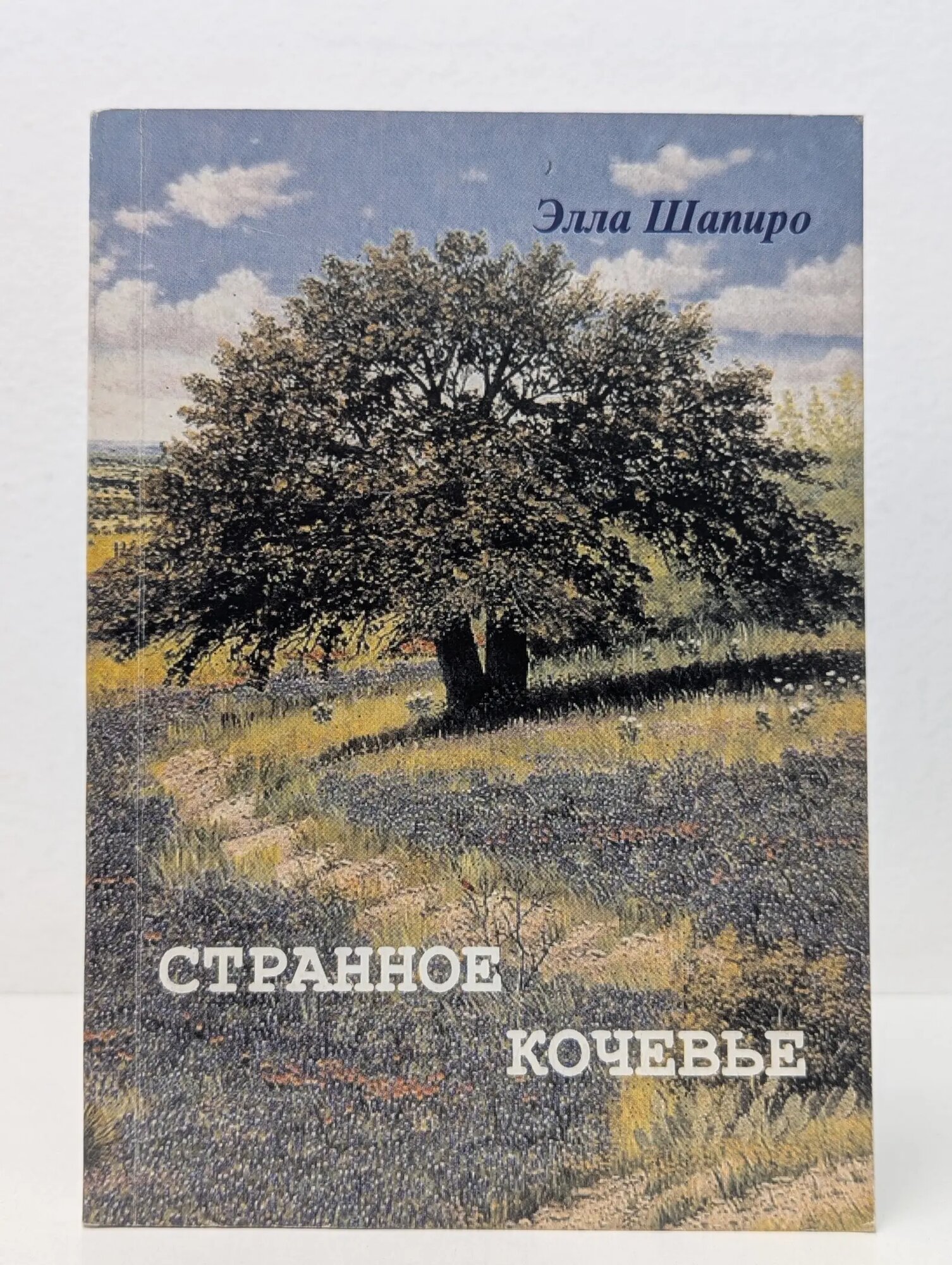 Странное кочевье Шапиро Элла 2003