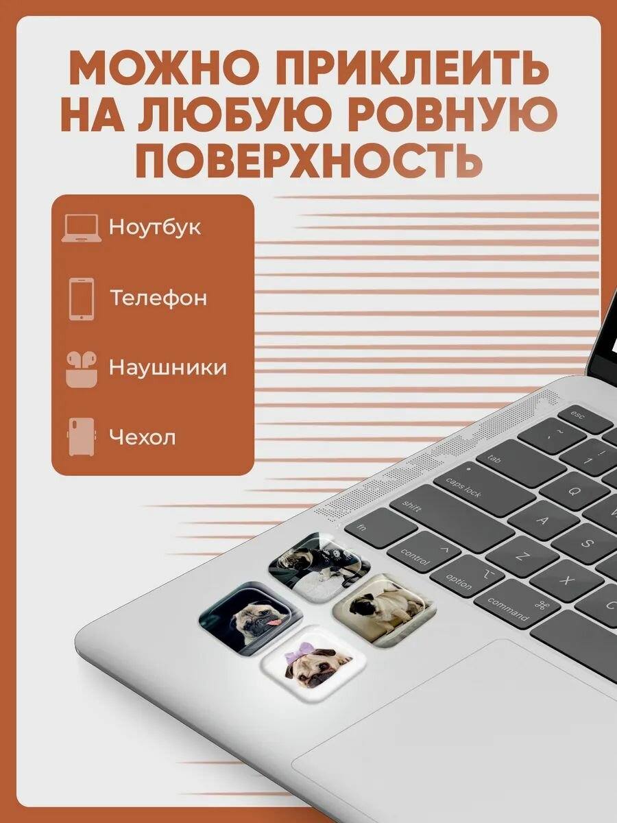 3D стикеры на телефон Мопс — фото 1