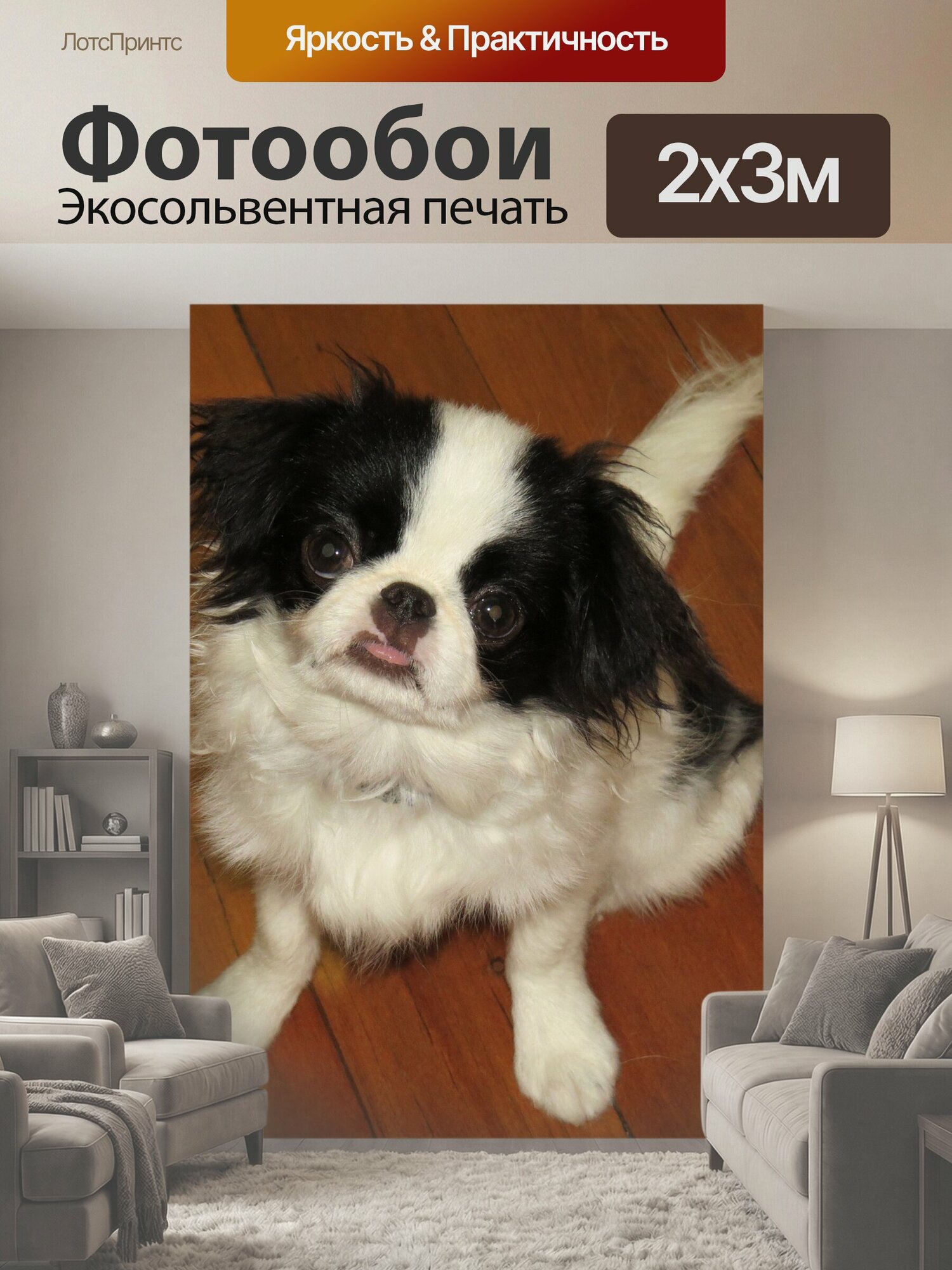 Фотообои "Японский подбородок, собаки, щенок" 200x300 см. экосольвентная печать