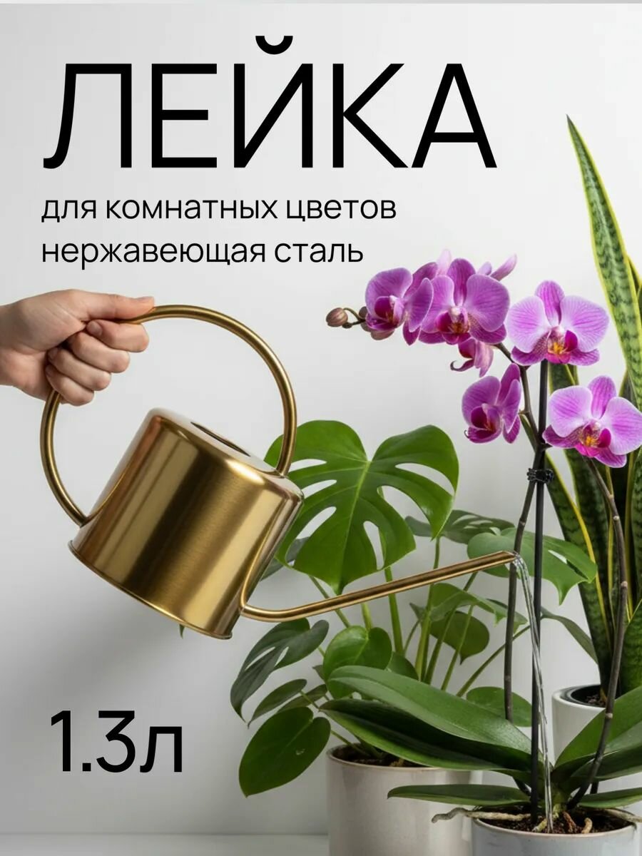 Лейка для цветов 1,3л, без рассеивателя, нержавеющая сталь, золотой