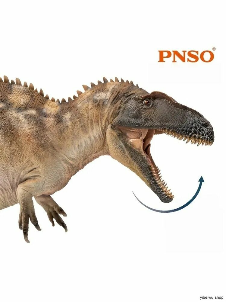 Фигурка, Динозавр, Акрокантоза вр , Детские игрушки, Игрушка, PNSO