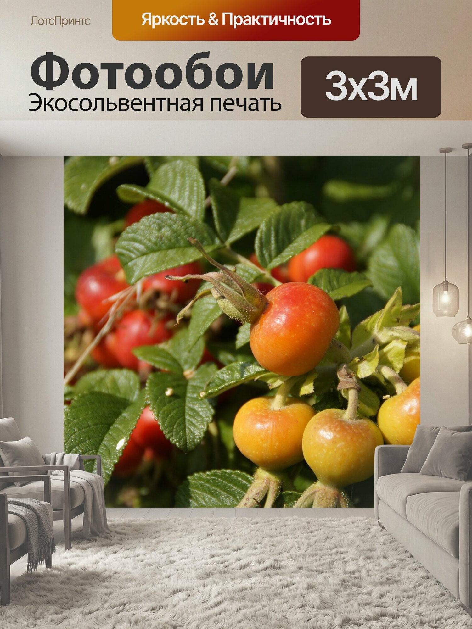 Фотообои "Шиповника, собачьи розы, розы" 300x300 см. экосольвентная печать