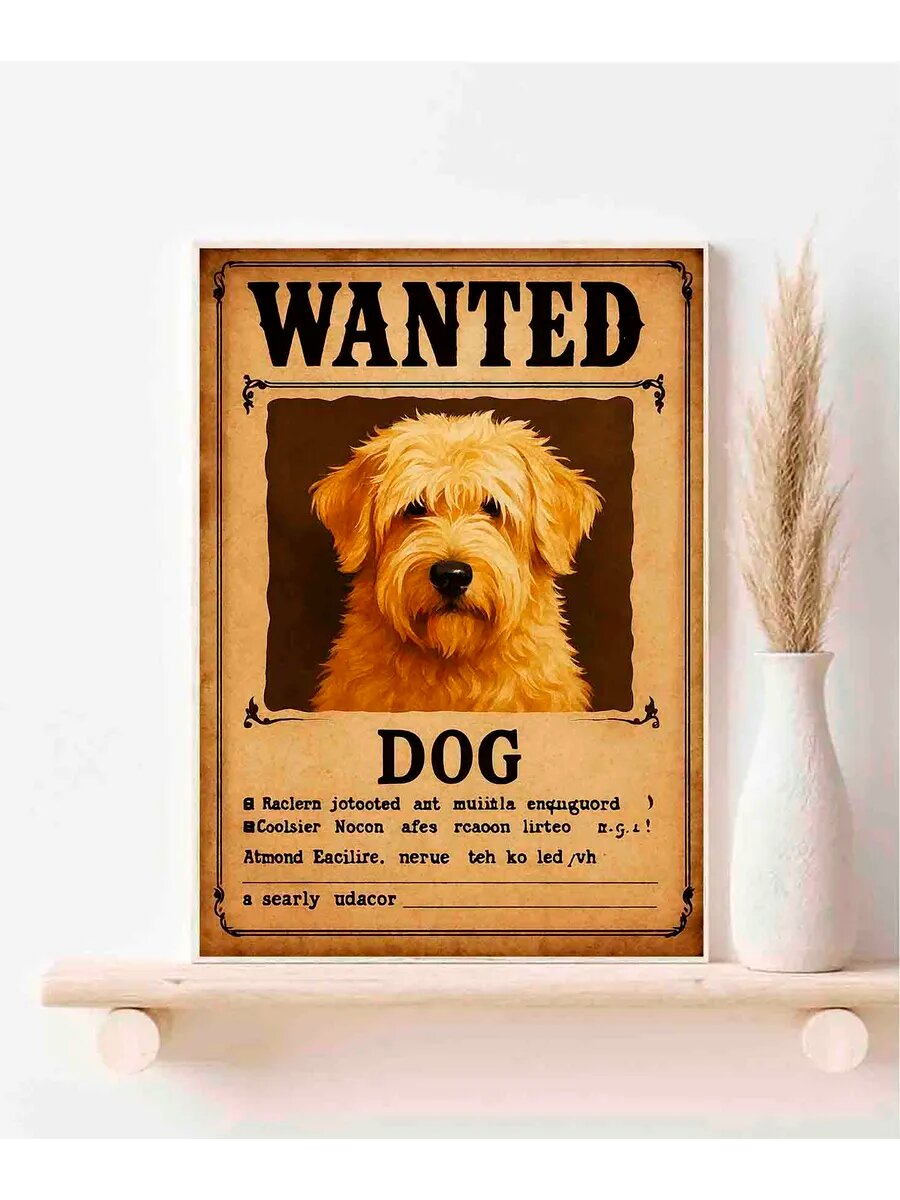 Мягкошерстный пшеничный терьер, Wanted, Плакат 30x42см