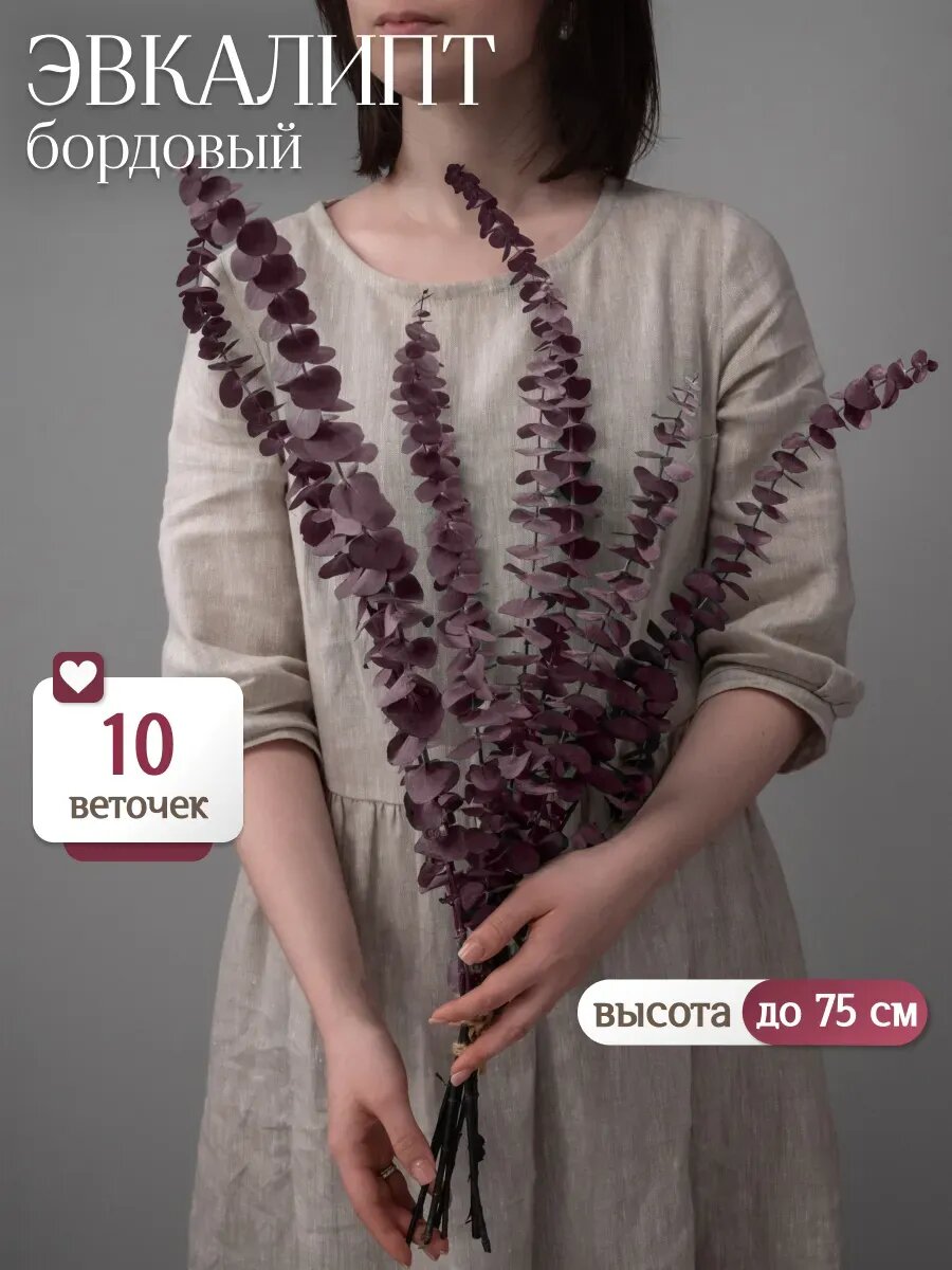 Эвкалипт бейби блю бордовый 10 шт, сухоцветы для декора