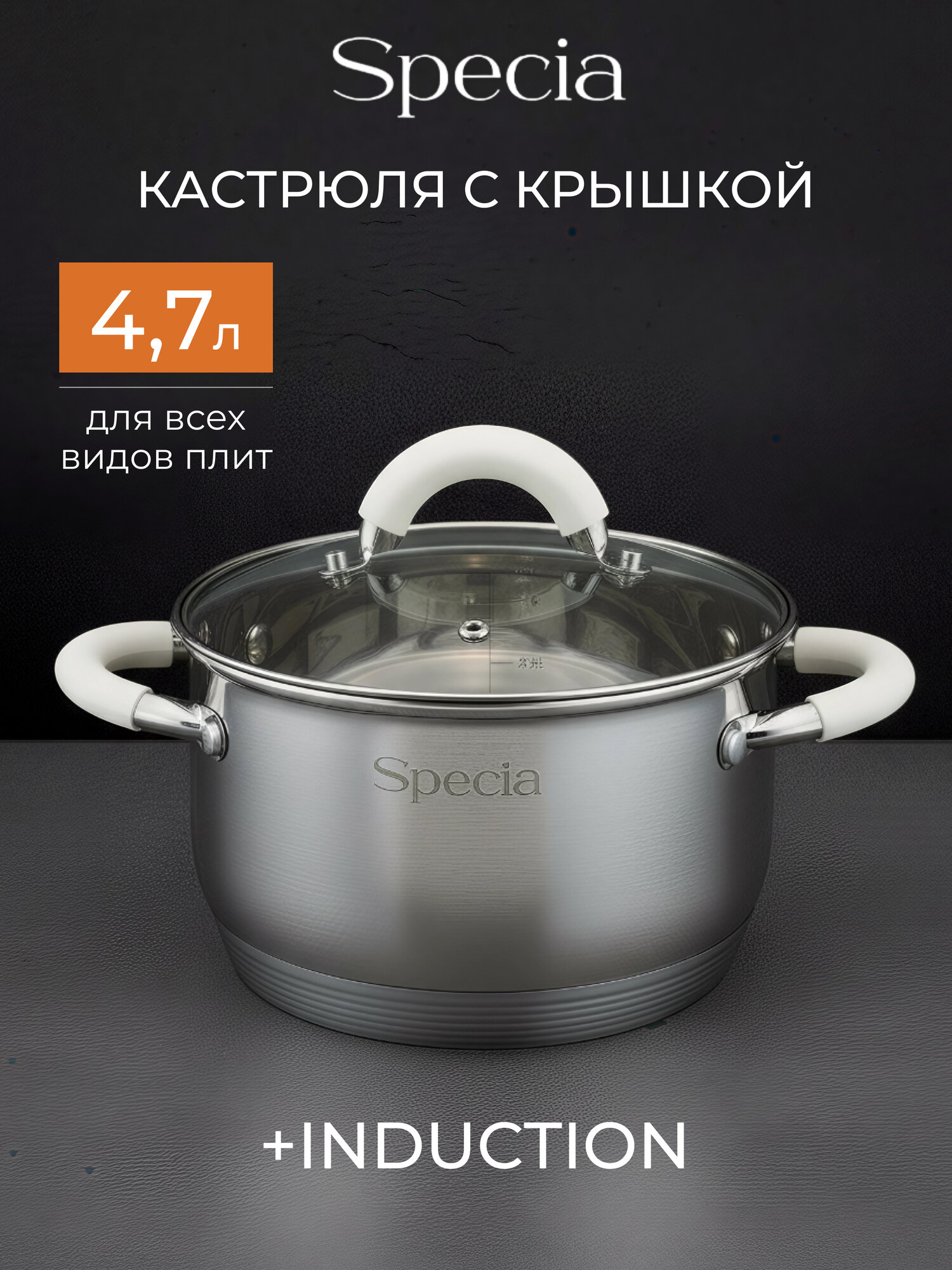 Кастрюля из нержавеющей стали с крышкой 4,7 л Specia, для индукционной плиты