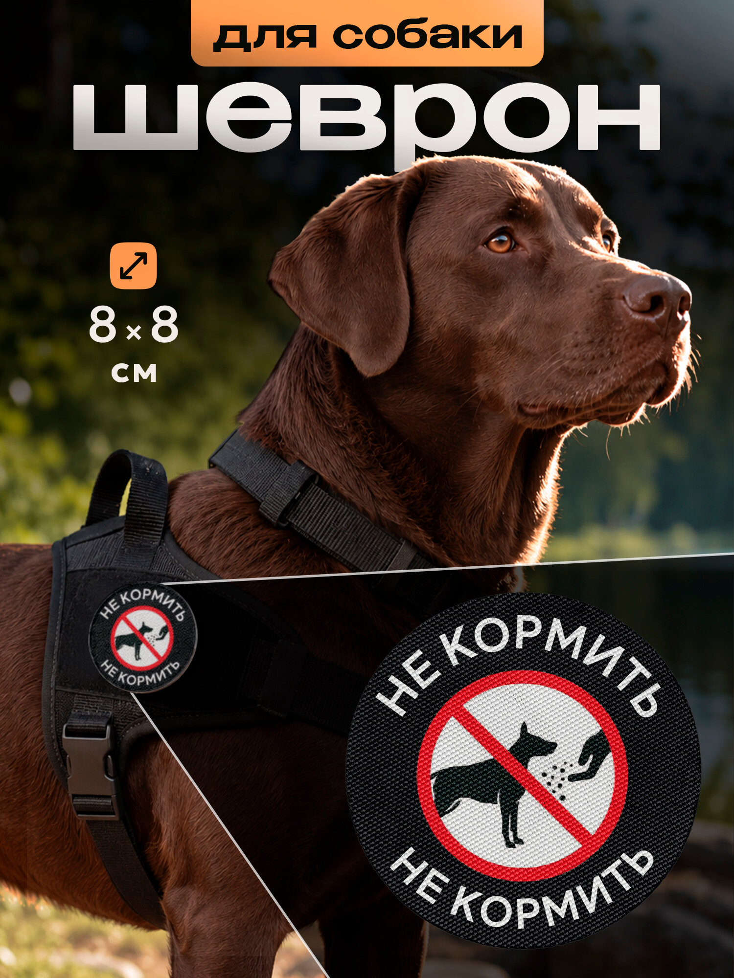 Шеврон IREVIVE кожаный, круглый 8 см, Не кормить , на липучке, для формы, военному