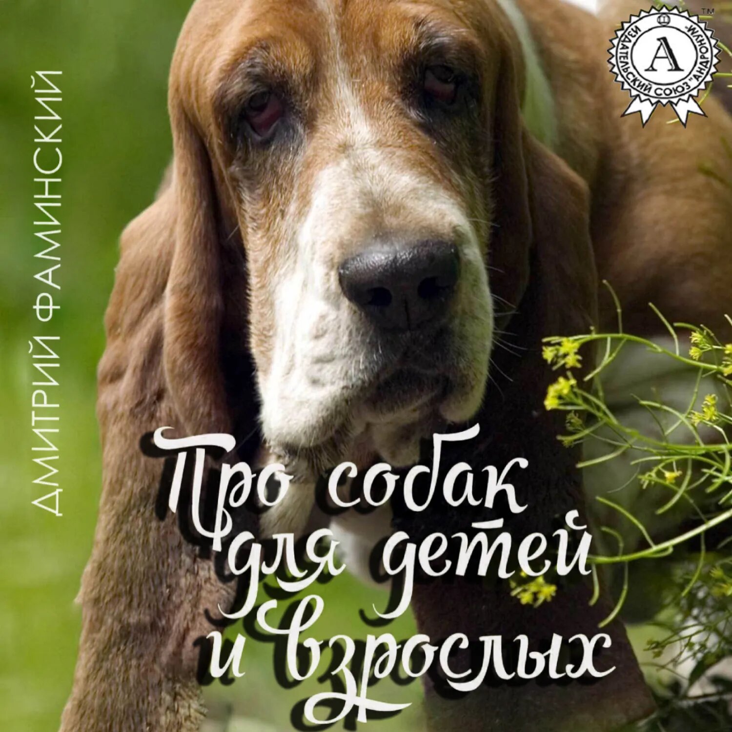 Про собак для детей и взрослых [Аудиокнига]