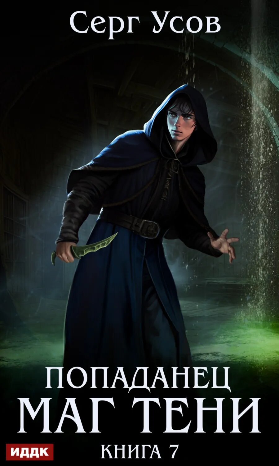 Попаданец. Маг Тени. Книга 7 [Цифровая книга]