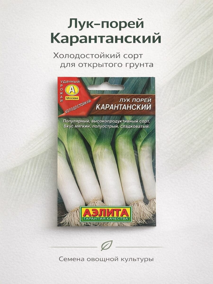 5шт Лук-порей Карантанский, семена, холодостойкий сорт, мягкий полуострый вкус, для открытого грунта