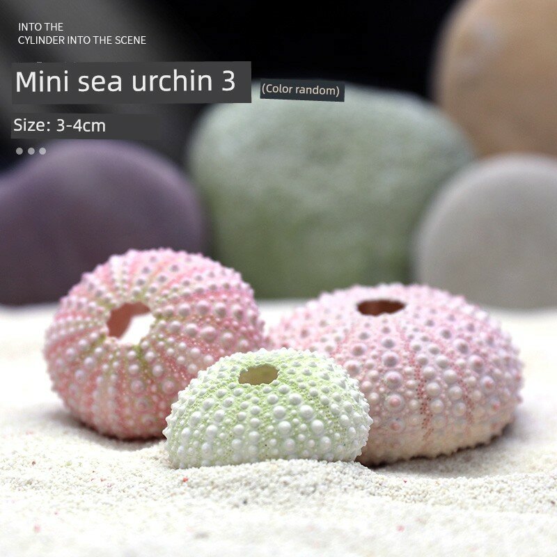 Натуральные раковины для аквариумов, декоративные раковины различных размеров, укрытия для рыб и креветок, места для