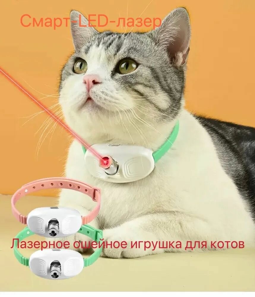 Лазерный ошейник для кота уникальный и забавный кошачий артефакт для вашего питомца