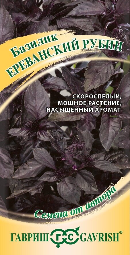 Семена зелени Гавриш базилик Ереванский рубин, для дачи, сада, огорода и на рассаду
