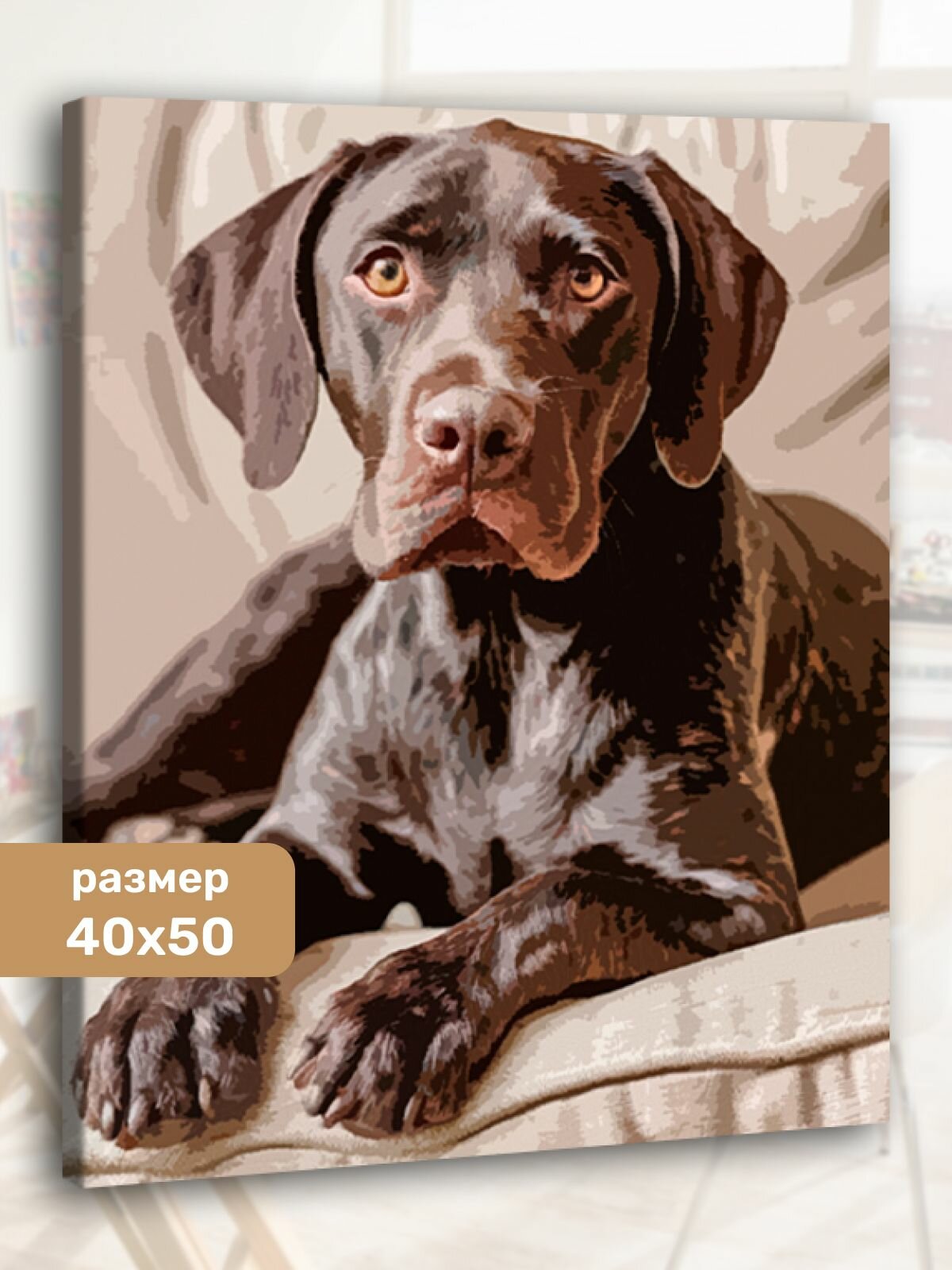 Картина по номерам на холсте и подрамнике Курцхаар