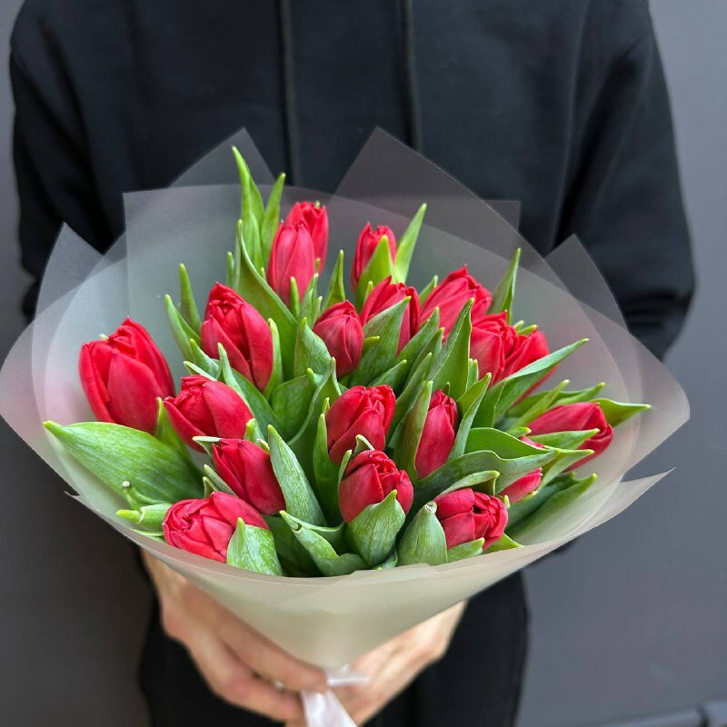 Тюльпаны / Тюльпан / Букет Тюльпанов / Тюльпаны Красные Голландия 19 шт