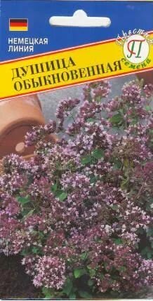 Душица (орегано) обыкновенная 0,1 г, Семена Престиж