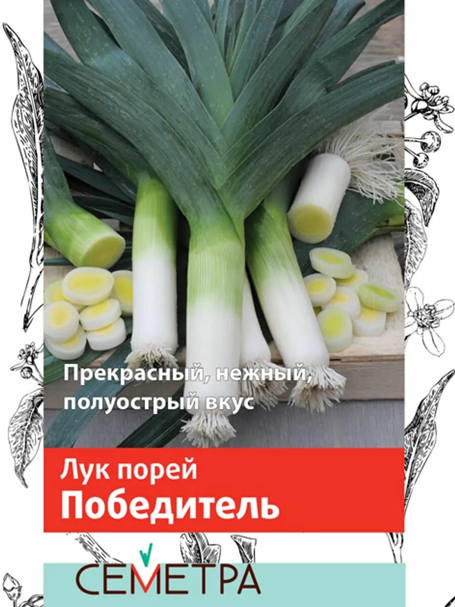 Лук Порей Победитель 1 г, Семена Поиск