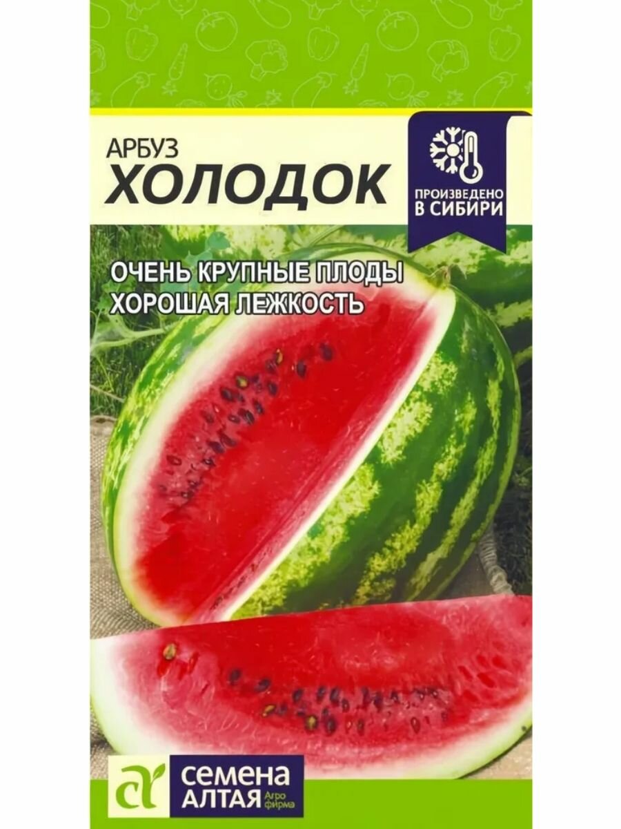 Арбуз семена Холодок 1 г, среднеспелый, очень крупные плоды, хорошая лежкость