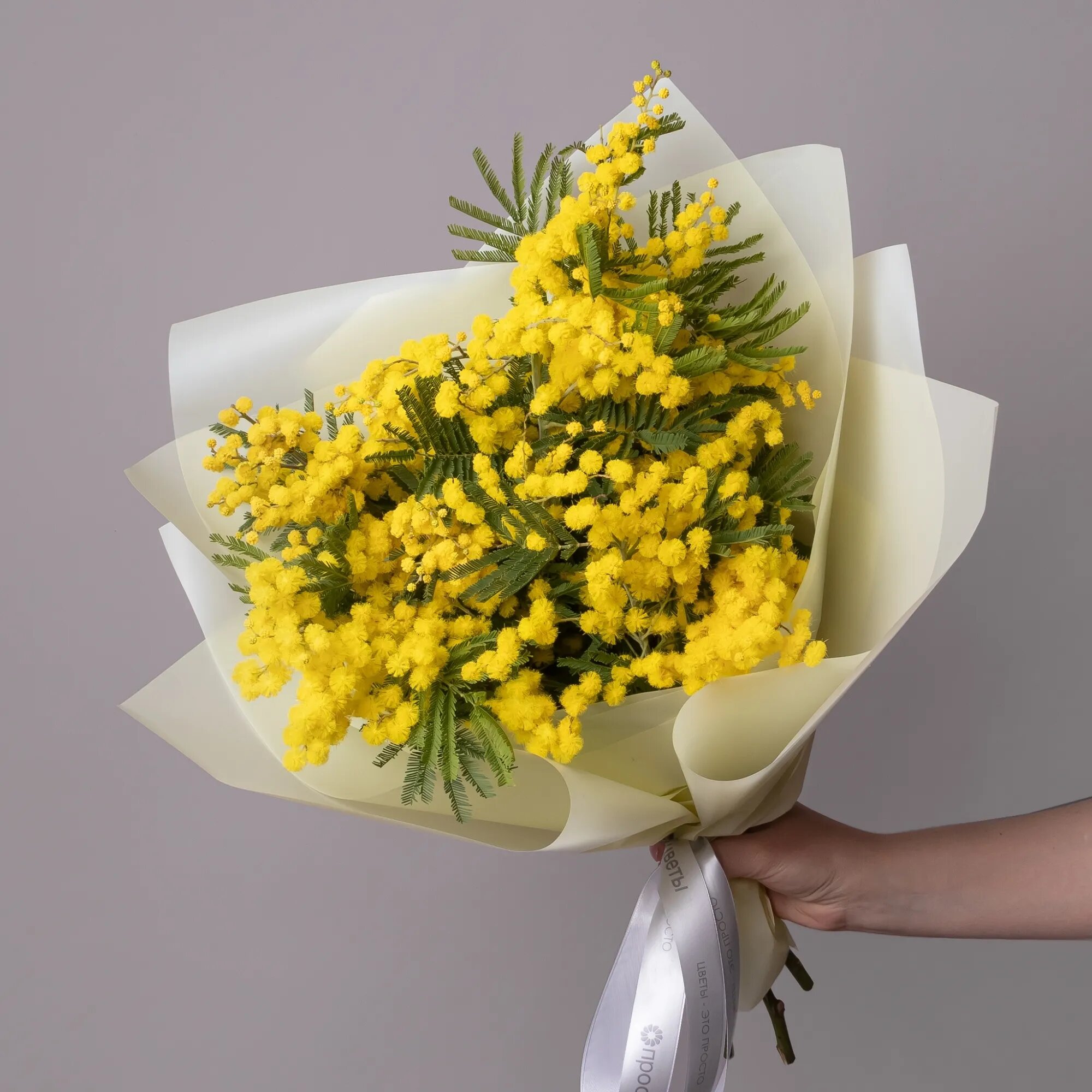 Букет Мимоза итальянская (1 стебель=1 пучок, 400 грамм) 3 шт Высота 60 см в коробке и аквабоксе от "Простоцветы"