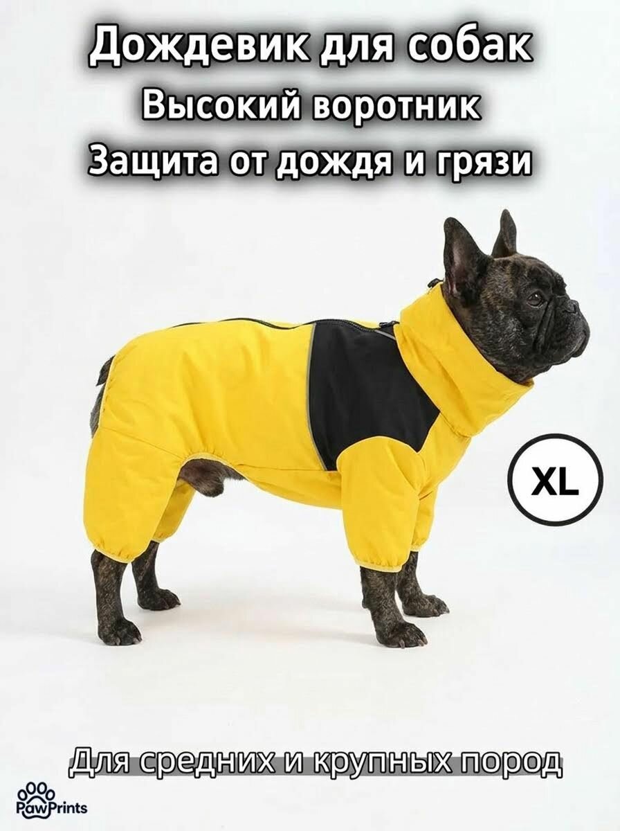Дождевик для собак крупных пород жёлтый, водонепроницаемый, для прогулок, XL