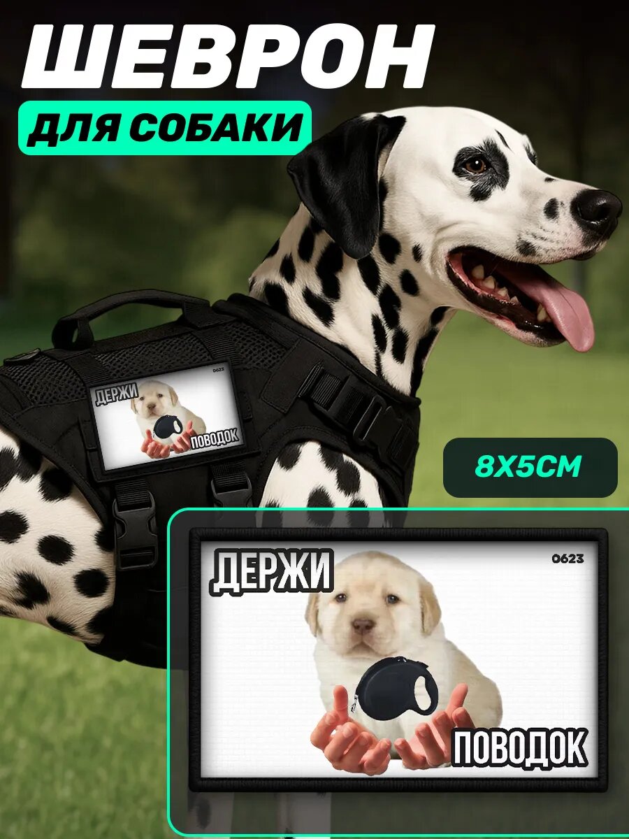 Шеврон на липучке для собак мем Держи поводок