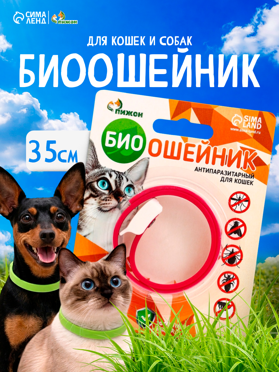 Биоошейник от паразитов для кошек «пижон», от блох и клещей, 35 см, красный