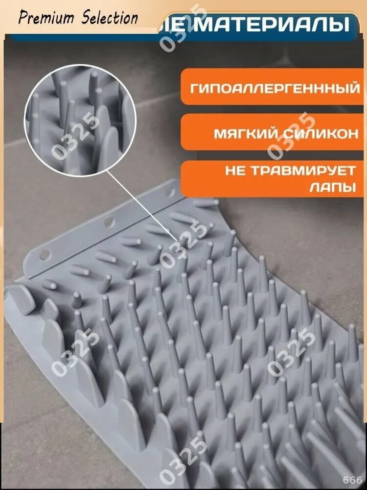 Лапомойка — фото 1