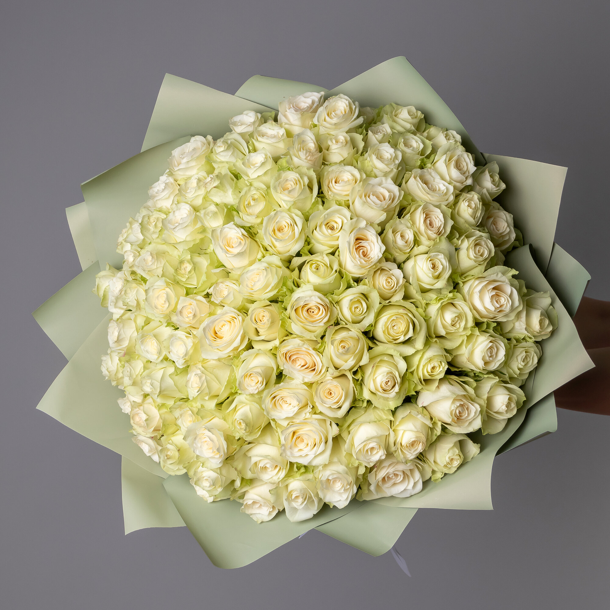 Букет Роза "Атена" 101 шт Высота 40 см в коробке и аквабоксе от "Простоцветы"