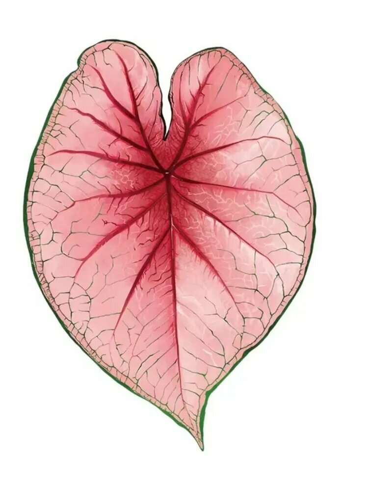 Магия Растений: Редкие тропические растения, креативные магниты на холодильник, декор для дома, серия растительных магнитов