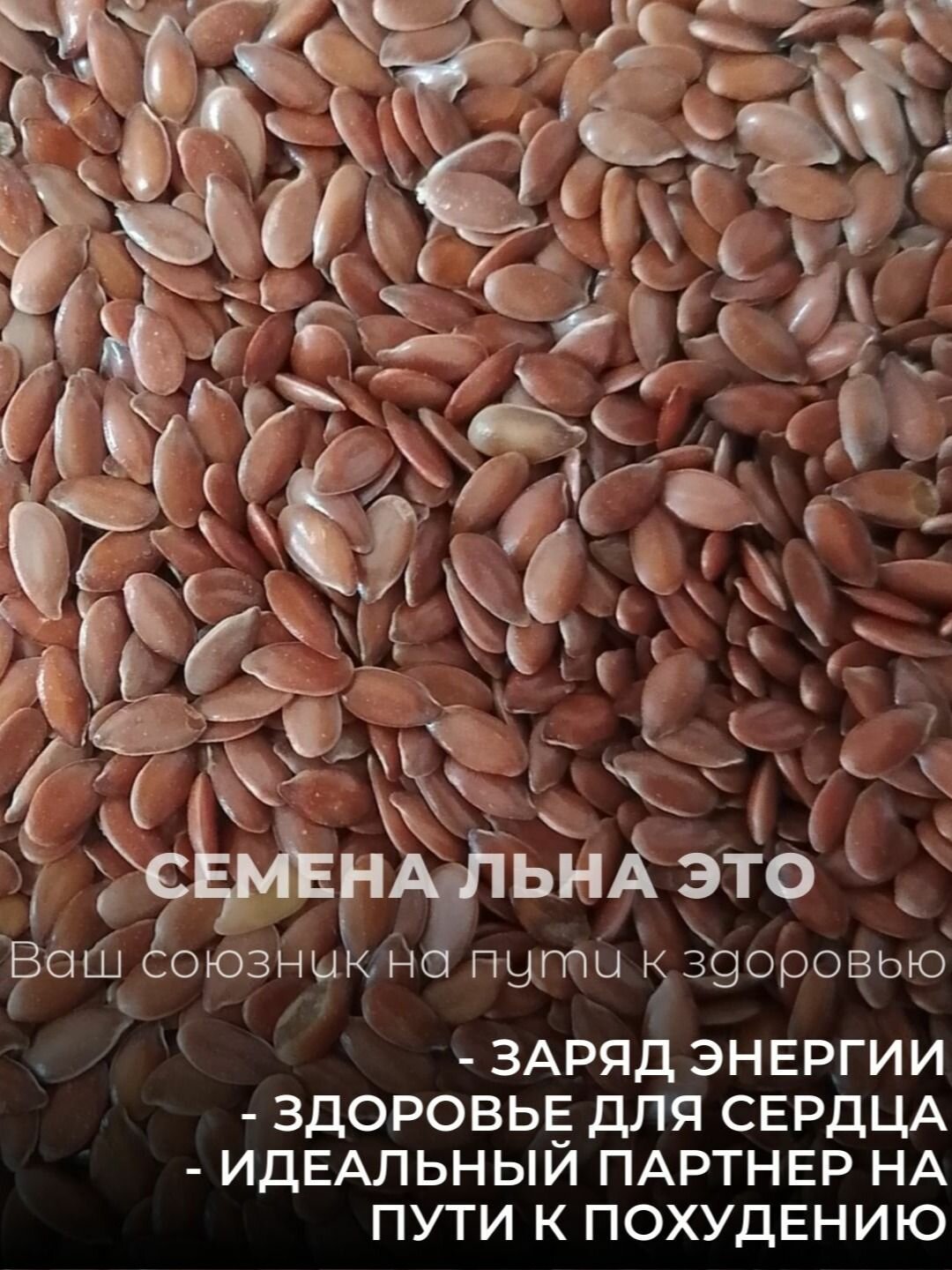 Лен семена, коричневый, 100 гр — фото 1