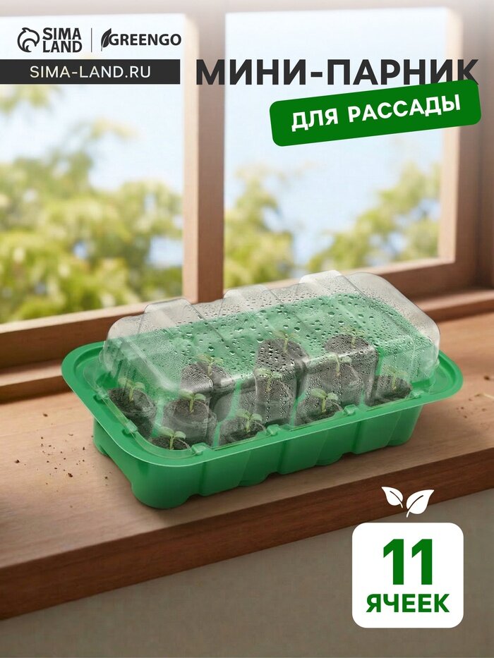Мини - парник для рассады, 24×12×11 см, 11 ячеек под таблетки для рассады d=3 см, пластик, Greengo