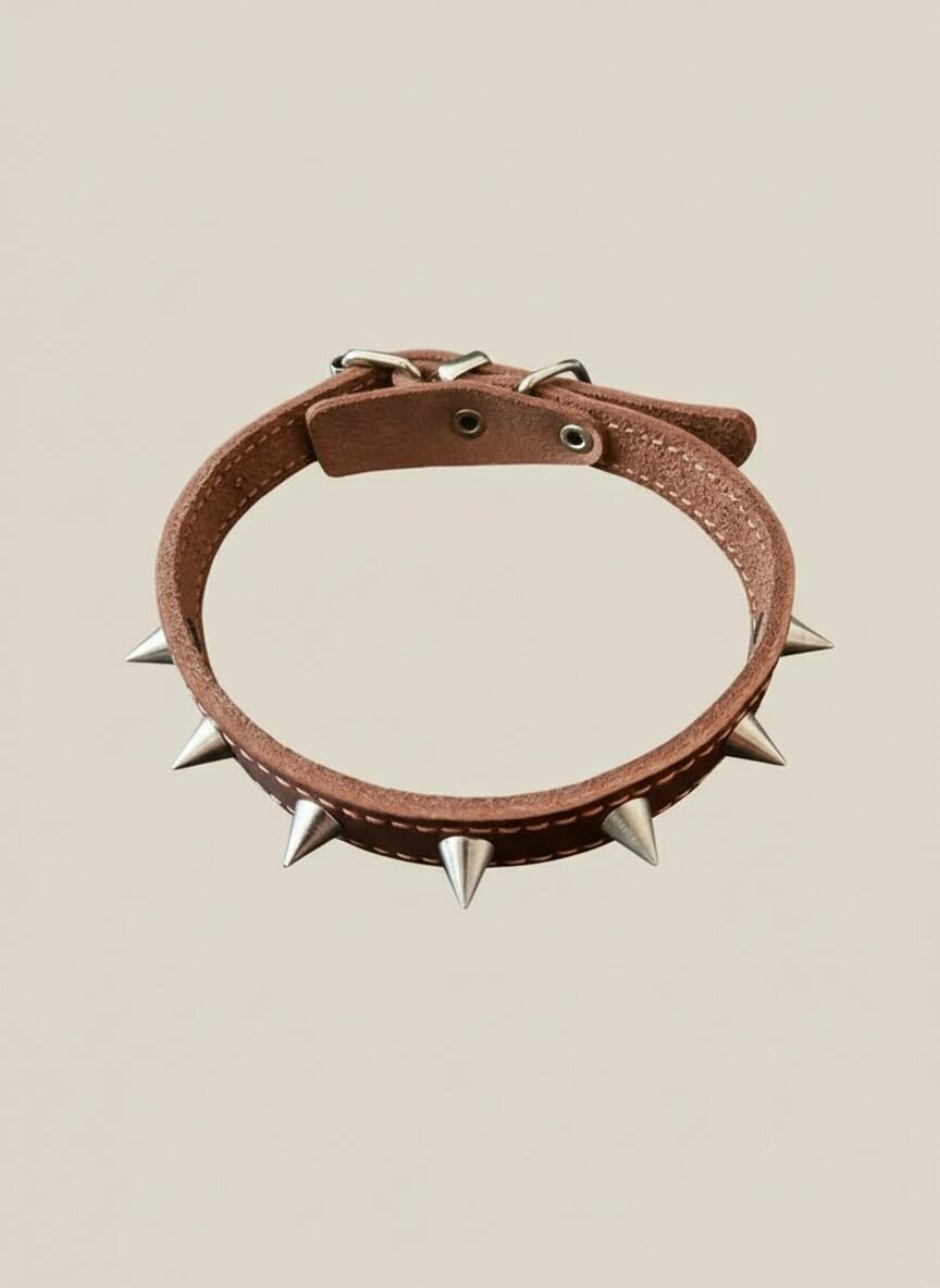 Ошейник с шипами для мелких и средних собак Наша ручная работа