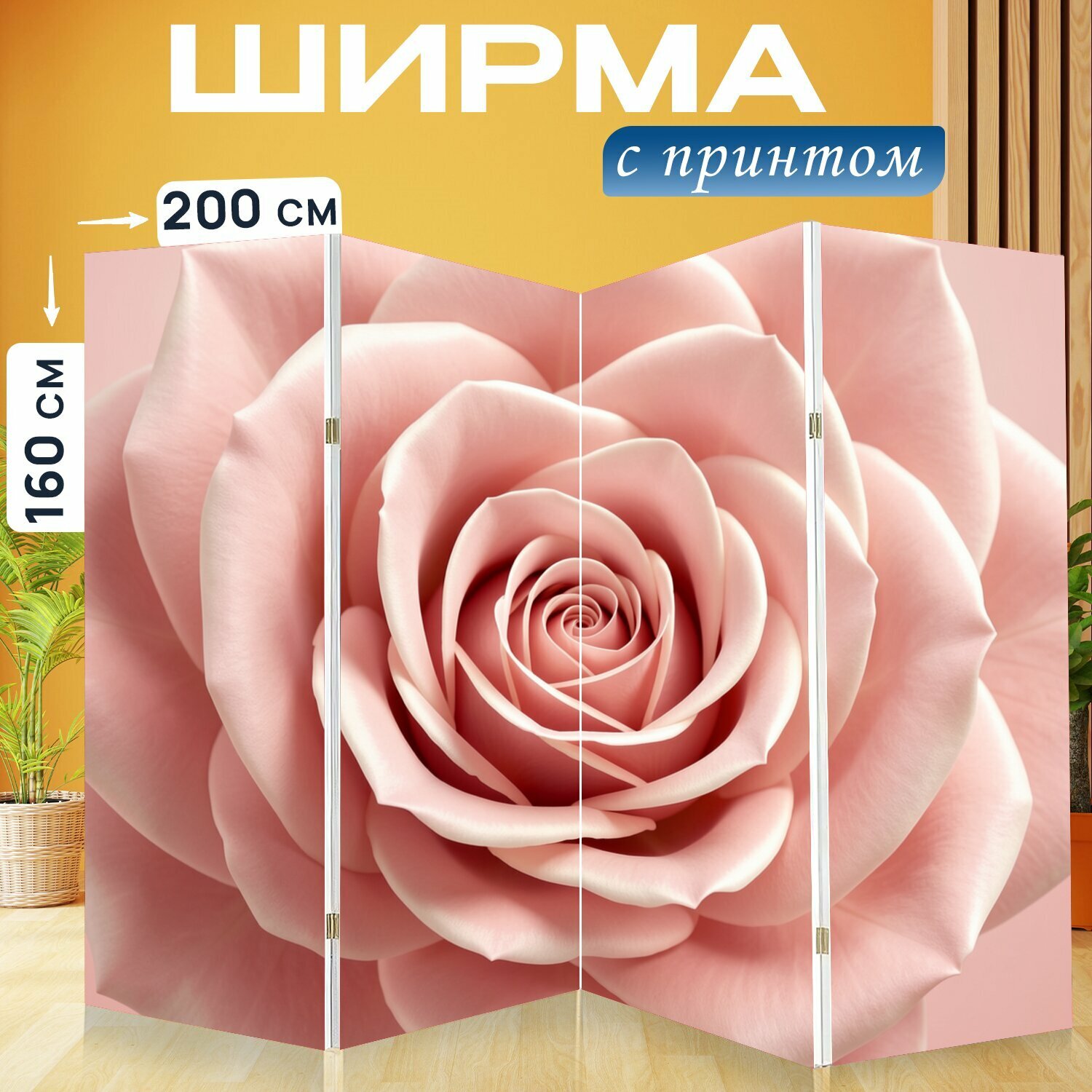 Ширма "Нежная розовая роза крупным планом. Макроизображение распустившегося бутона с бархатистыми лепестками в." перегородка для зонирования комнаты с принтом 200x160 см. на холсте