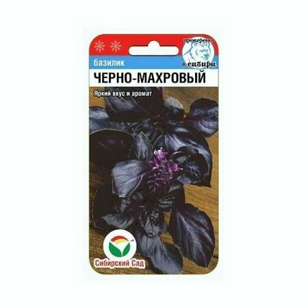 Семена Базилик Черно-махровый ( приятным насыщенным вкусом и пряным ароматом )СибСад