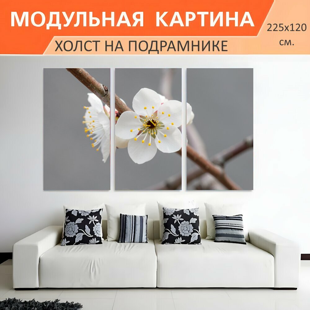 Модульная картина на холсте "Ветка дерева с тонкой коричневой корой, на которой расцвели белоснежные цветы с аккуратными лепестками и." триптих на подрамнике 225х120 см. для интерьера