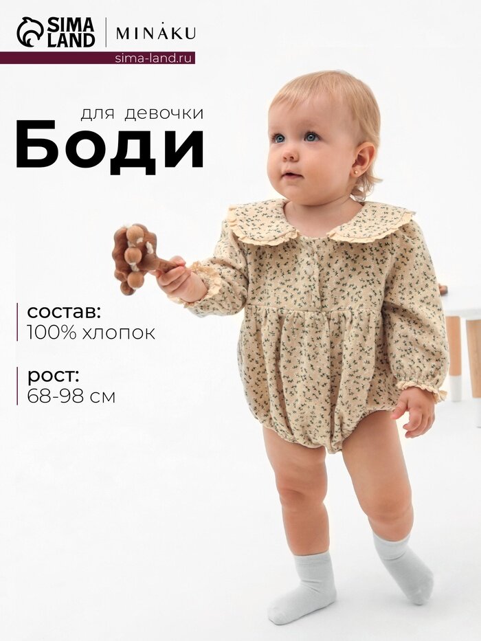 Боди