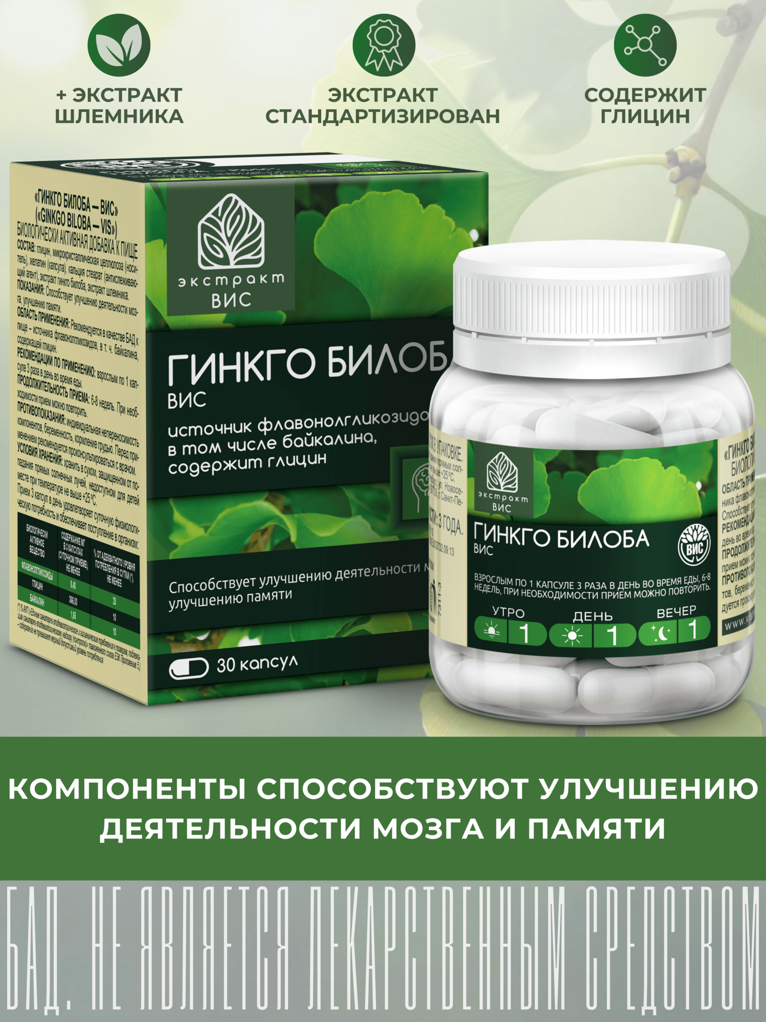 Гинкго Билоба ВИС с глицином и шлемником, капсулы для мозга и памяти 0,4г 30 капсул