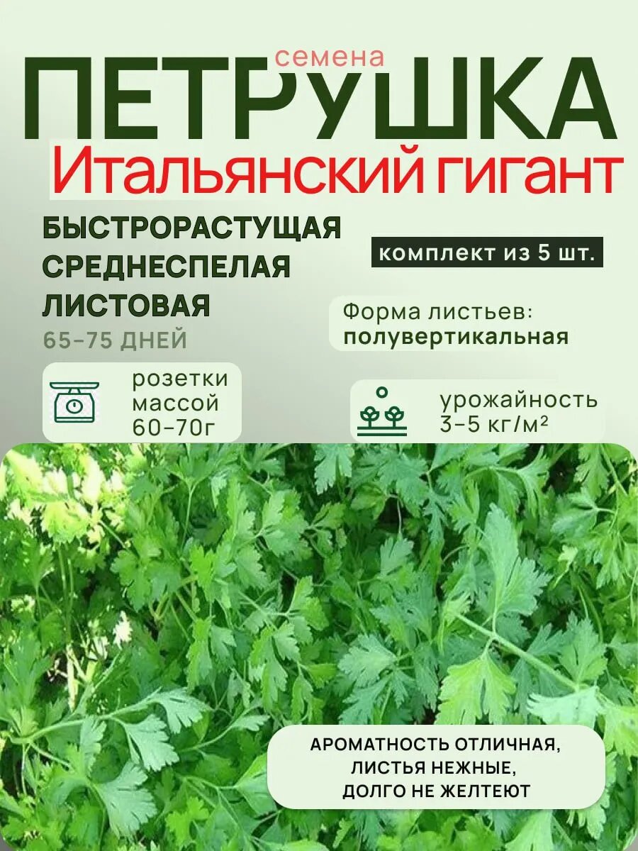 Семена петрушки Аэлита "Итальянский гигант", листовой сорт, 5 пачек