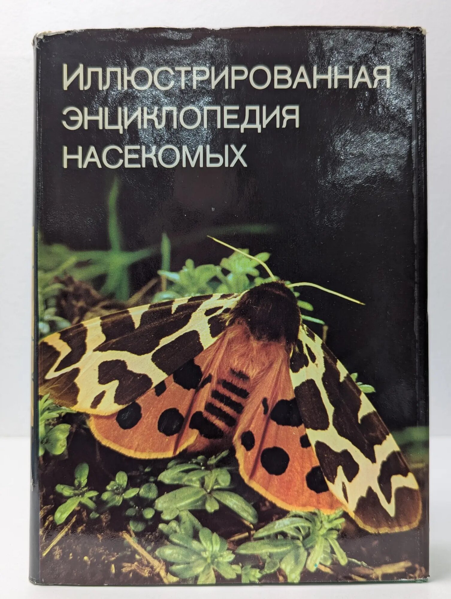 Иллюстрированная энциклопедия насекомых Станек Вацлав Я. 1977