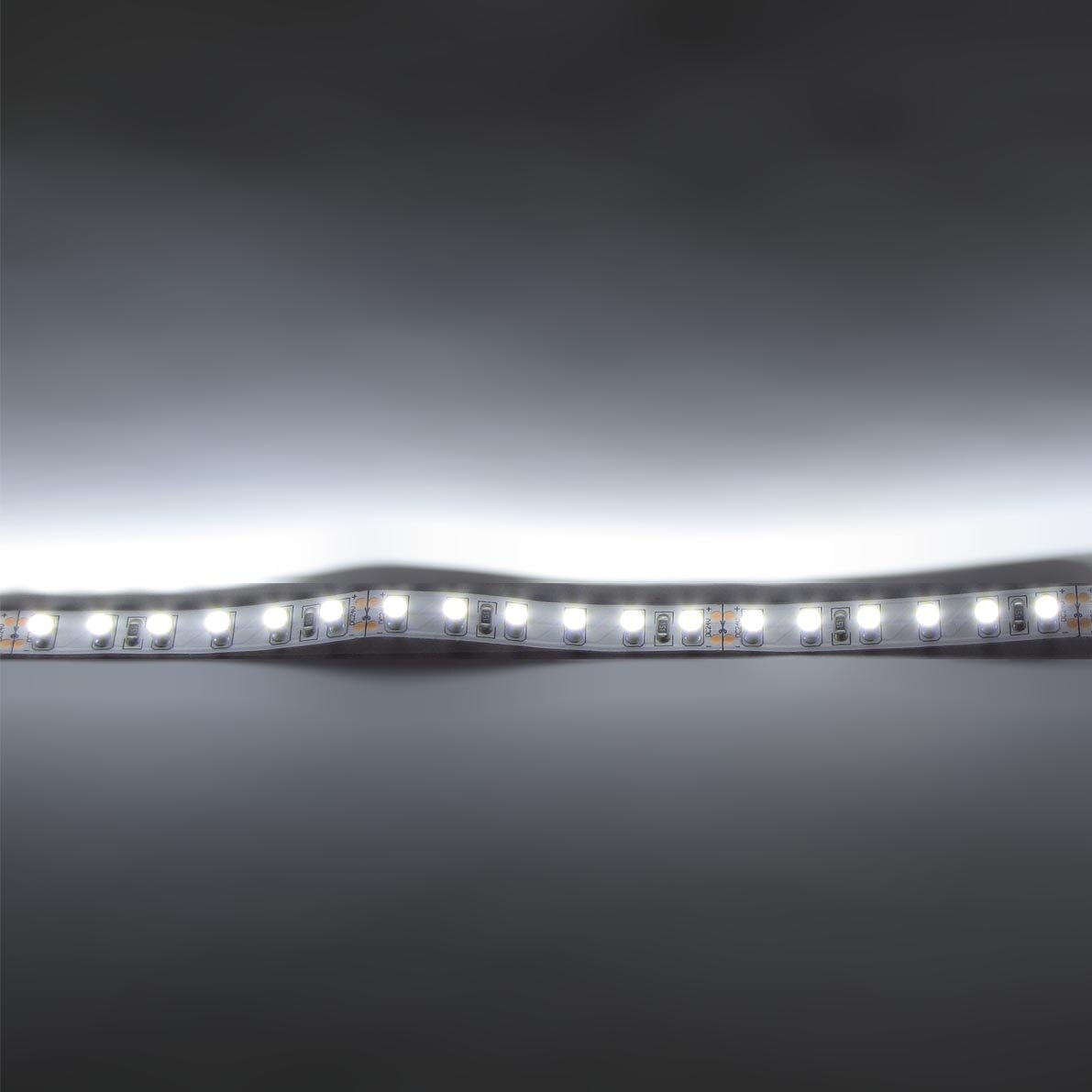Светодиодная лента Standart PRO class , 3528, 120 led/m, white, 24V, B191, IP20