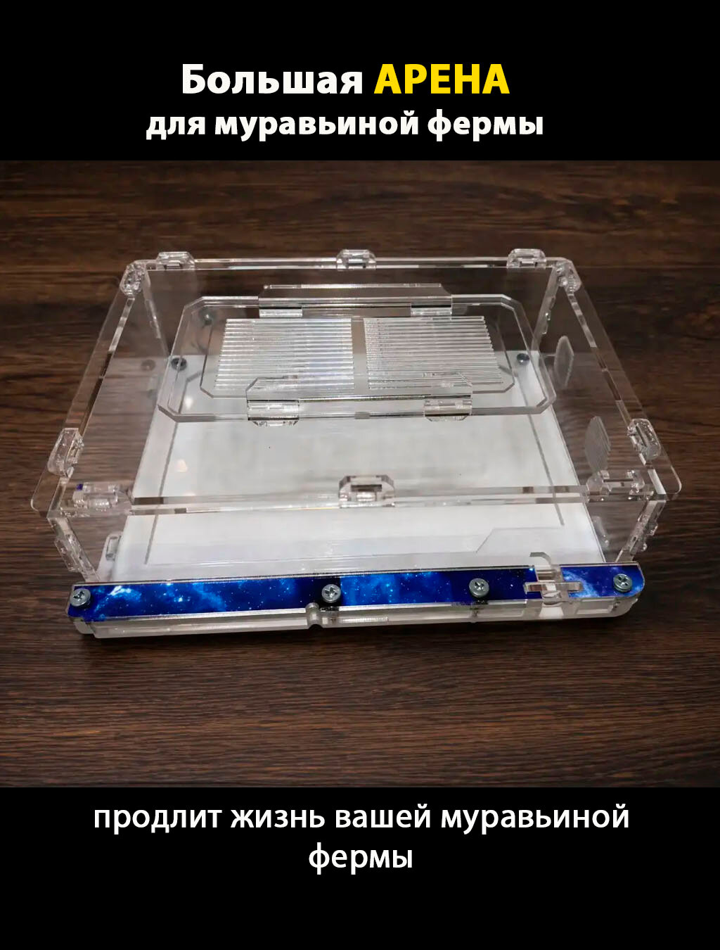 Большая арена для муравьиной фермы AntFarmsNsk