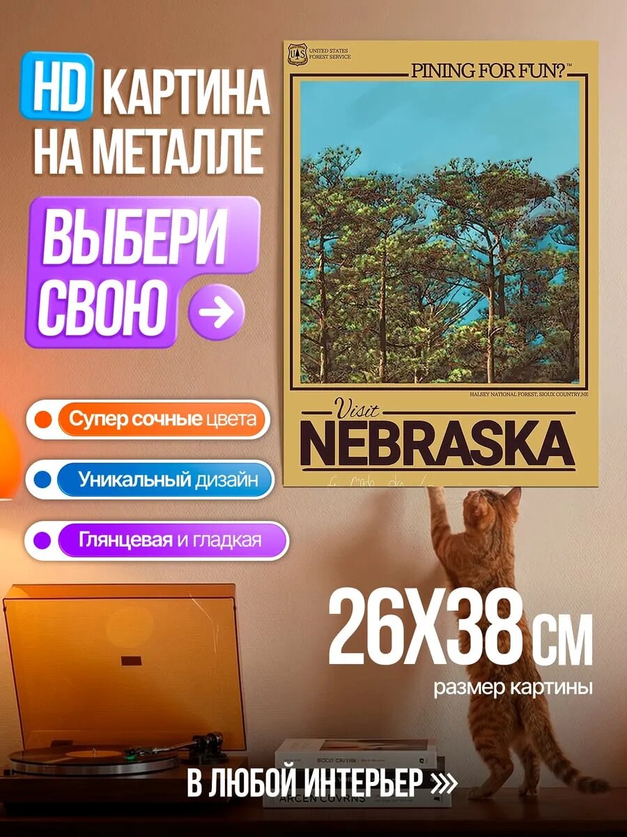 Картина на HD металле Поездка в Небраску