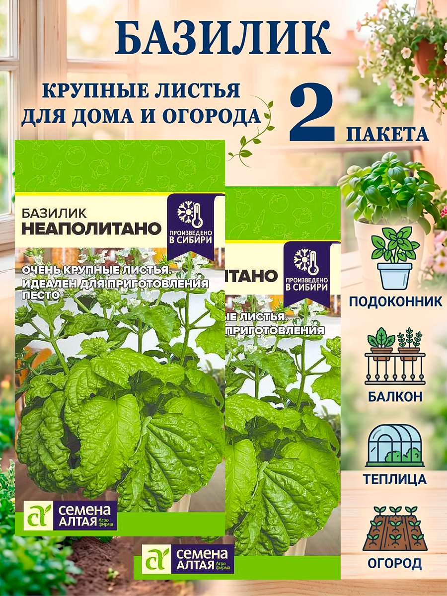Семена базилика Неаполитано крупнолистный, 2 пакета по 0,2 г